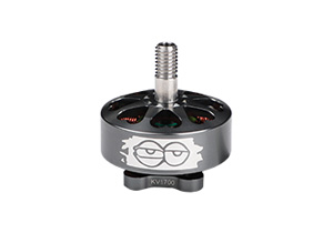 Drone motor & co store